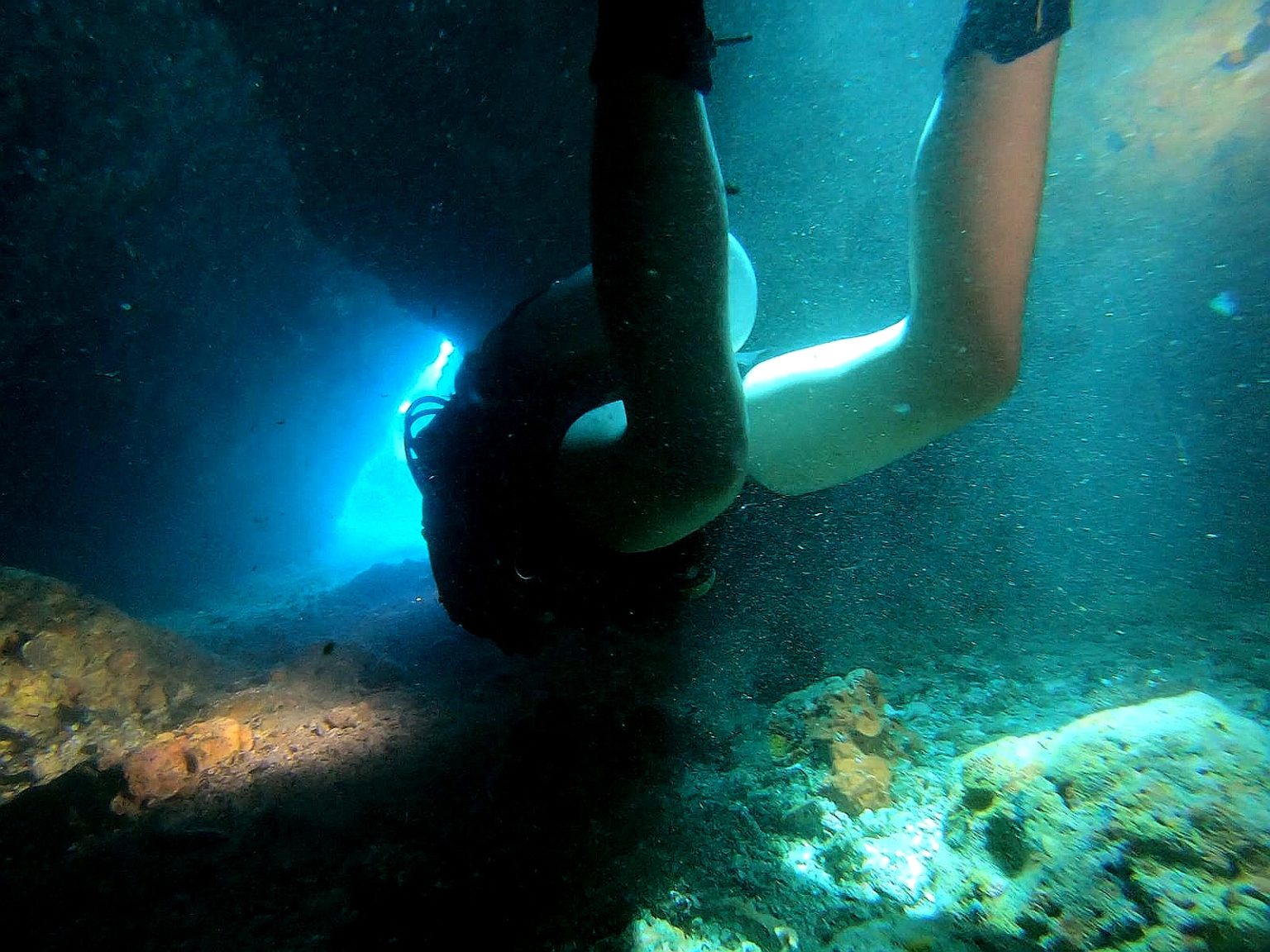 6 Simple Steps to Start Scuba Diving - The Scuba Species