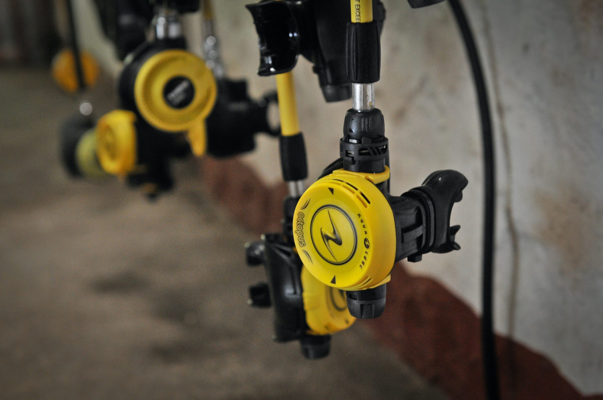 6 Simple Steps to Start Scuba Diving - The Scuba Species